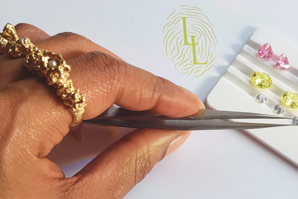 Sustainability – Lenique Louis